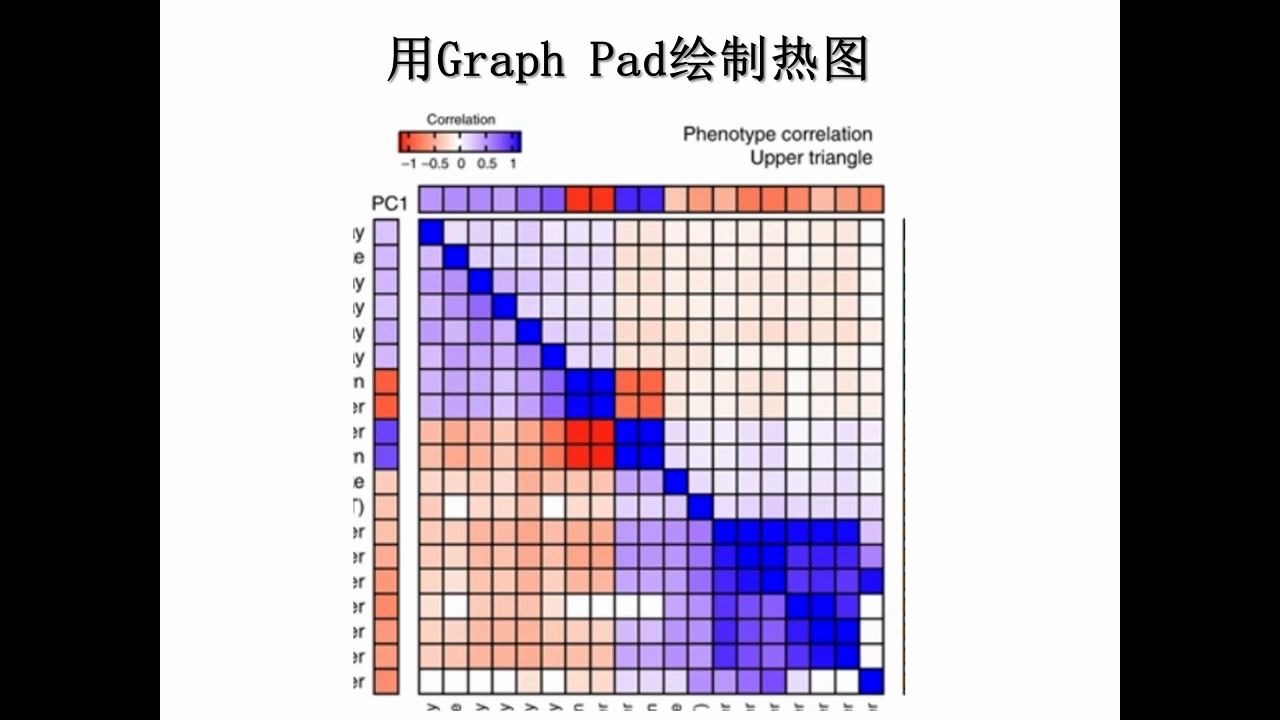 科研绘图使用graphpad绘制热图
