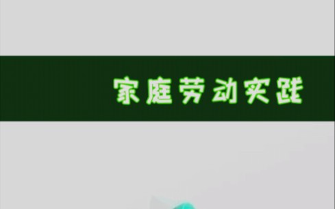 我的家庭劳动实践