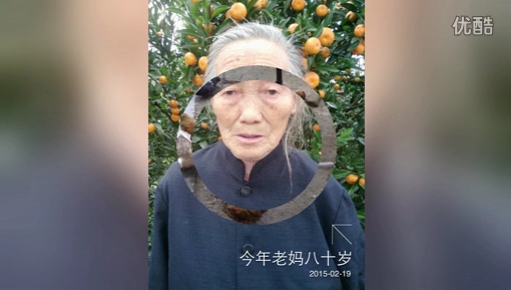 欢度2015春节