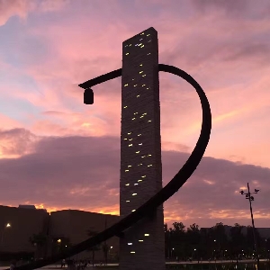 荔枝DIR 