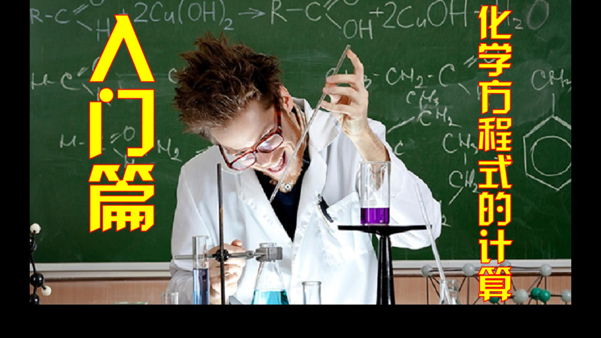 化学方程式的计算——入门篇