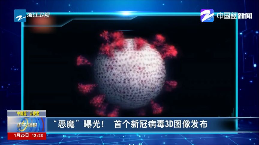 “恶魔”曝光! 首个新冠病毒3D图像发布