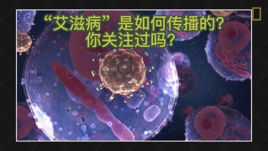 “艾滋病”是如何传播的 ?你关注过吗?