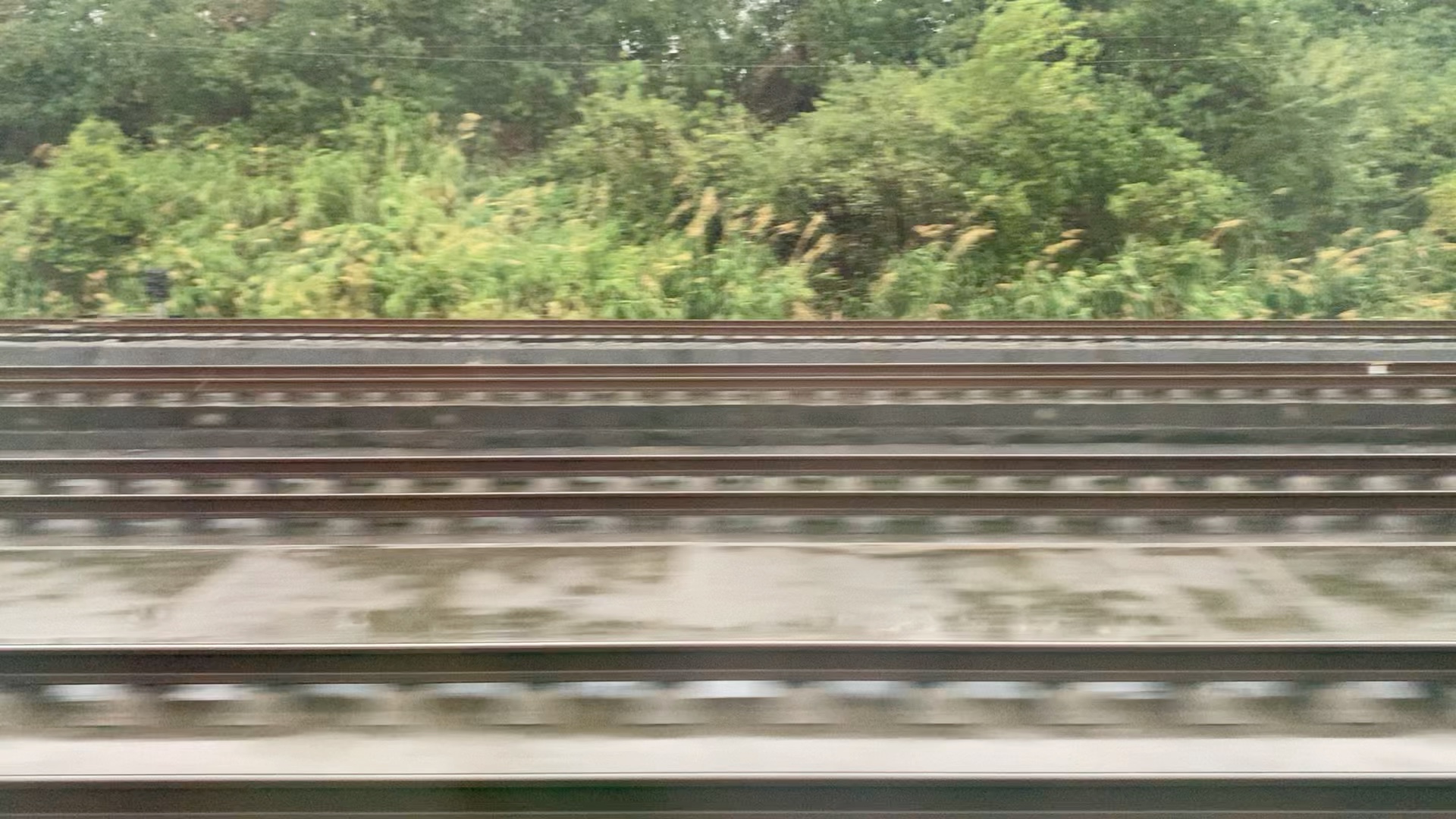 G588次列车(长沙南站-上海虹桥站)本务上海动车段CRH380BL3505...