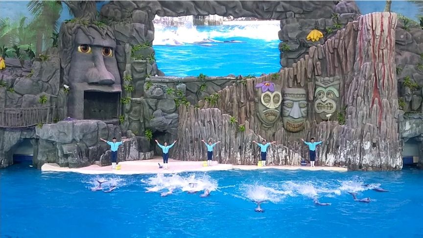 珠海长隆海洋王国海豚show
