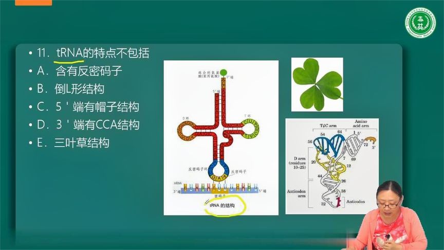 京师杏林2020全国卫生职称资格考试药学密卷知识点串讲精选(三)