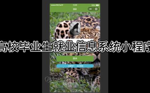 基于微信小程序的高校毕业生就业信息系统小程序