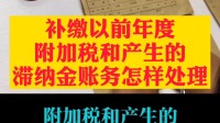 补缴以前年度附加税和产生的滞纳金账务怎样处理