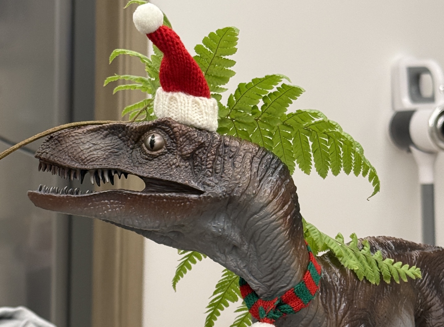 圣诞给家里的模型都套上了圣诞帽…笑得 |家庭博物馆4