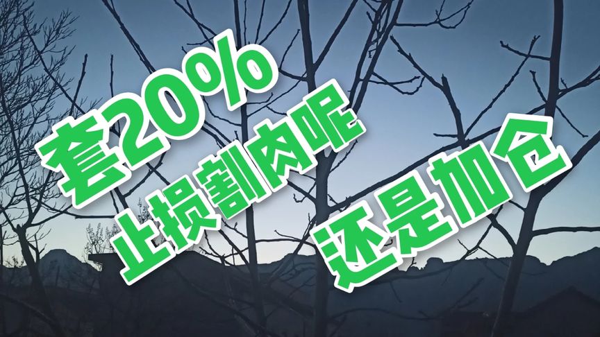 股票套了20%,我是应该止损割肉还是加仓?