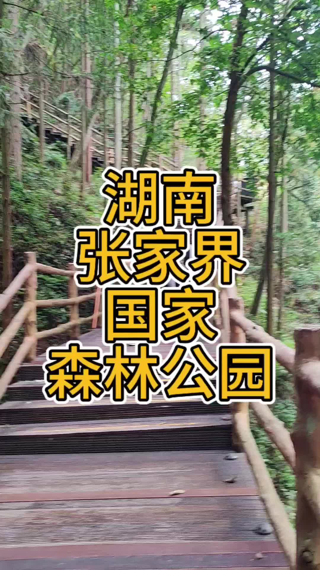 湖南张家界国家森林公园,原路返回西门取车,途中风景依然很美,虽然...