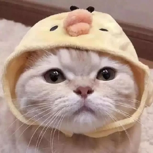 黎香甜甜 