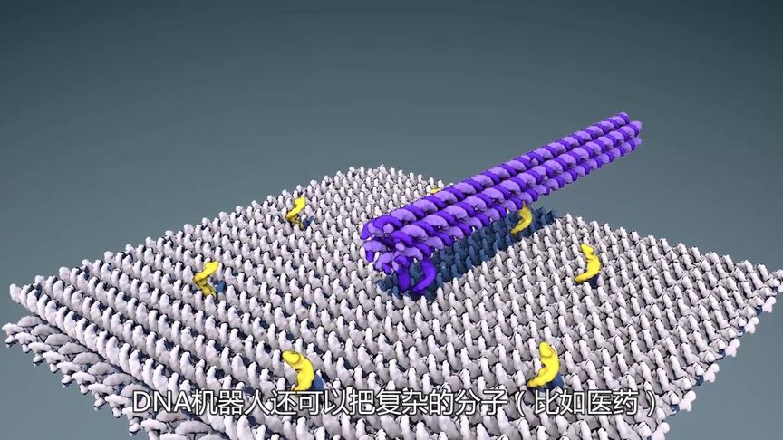 快如闪电 科学家研发新型DNA纳米机器人
