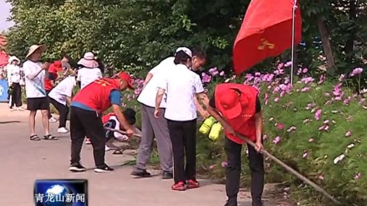 青龙山:主题党日活动,扮靓美丽家园