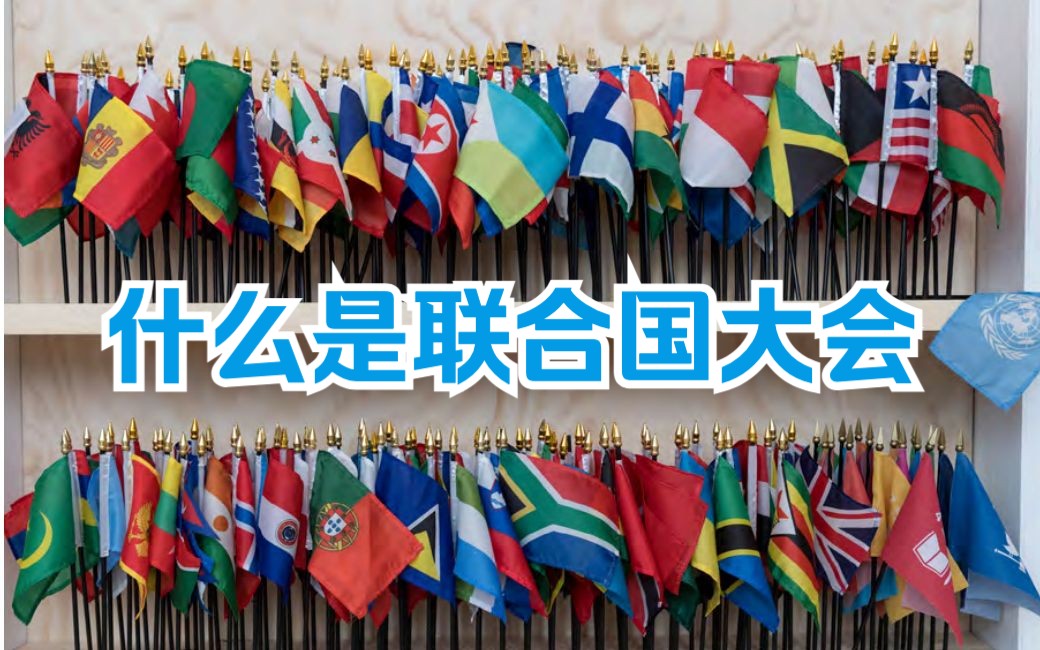 什么是联合国大会？