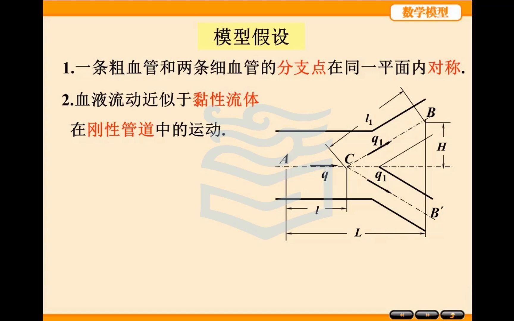 第三章 简单的优化模型 3.6 血管分支