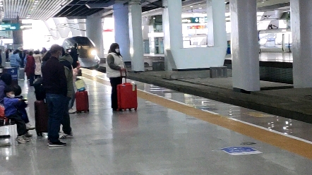 【广州南站】CR400AF-A担当G2056次列车(江门—济南西)进广州南站...