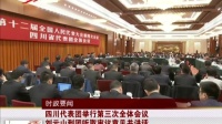 四川代表团举行第三次全体会议 汇说天下 160308
