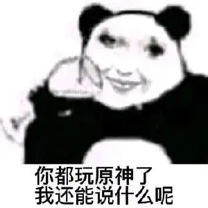 黑色玄武岩乌龟 
