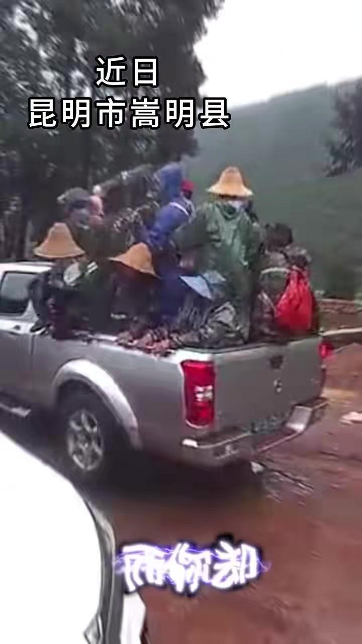 只能拉一点点,皮卡狂拉20人!素材来源:嵩明县局#普法宣传