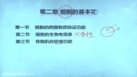2020专升本-河南-生理学-第2章 细胞的基本功能-第1节 细胞的跨膜物质...