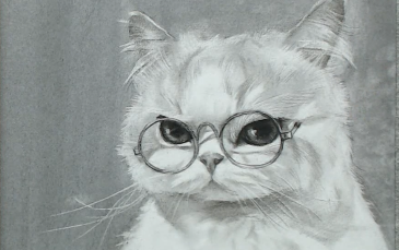 【动物素描】猫咪用这种表情看你,它在想什么一般?