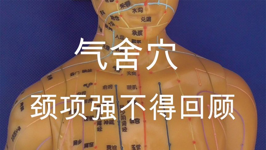 气舍穴主治:咳逆上气,颈项强不得回顾,喉痹哽噎
