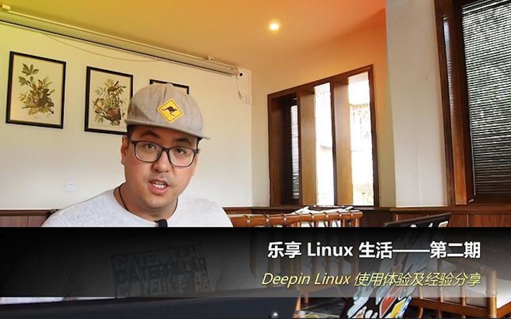 乐享 Linux 生活第二期,深度 Linux 使用体验,感悟;Bug 复现;展望