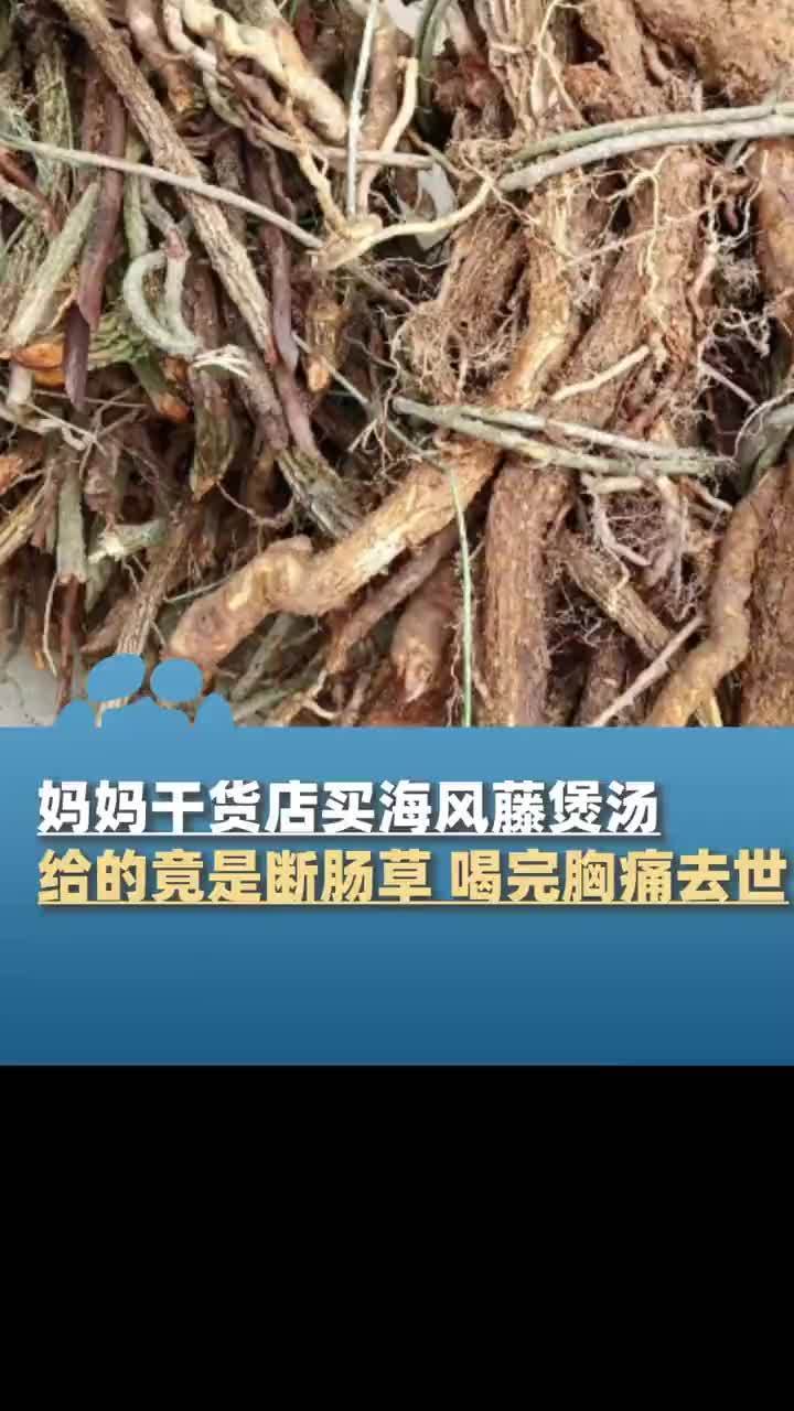 老人干货店买海风藤煲汤,给的竟是断肠草,喝完后胸痛去世
