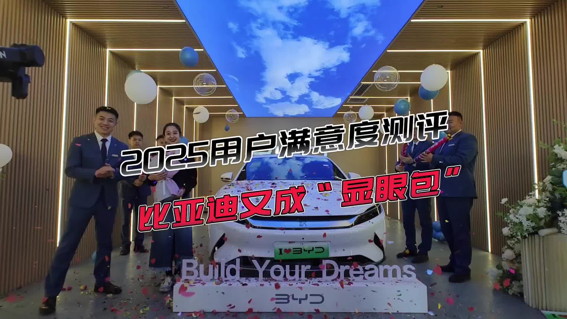 2025年中国新能源汽车行业用户满意度指数测评结果出炉,比亚迪旗下...
