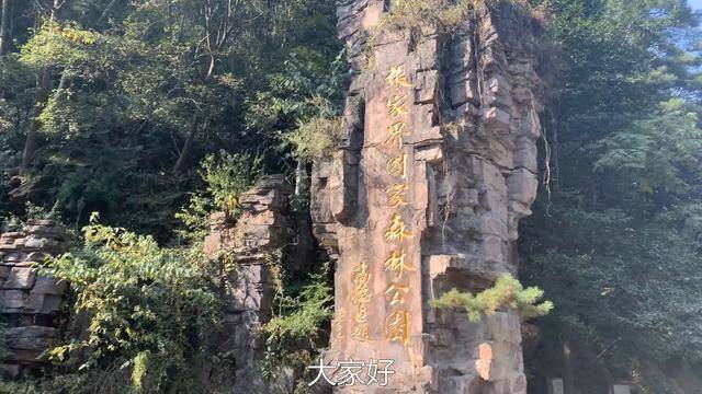 湖南张家界森林公园门票即将半价,原价225元只要115元,玩4天