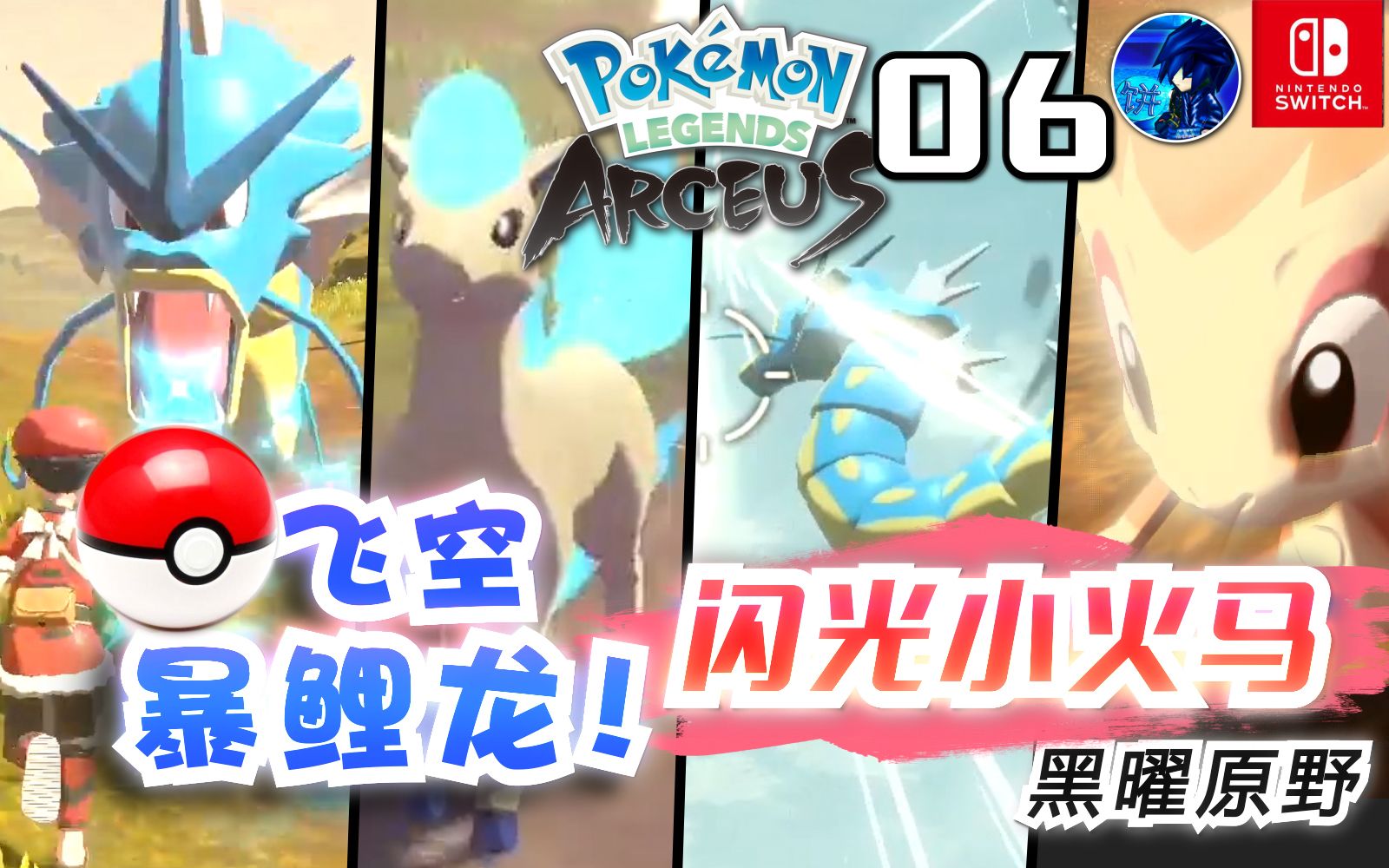 【宝可梦传说 阿尔宙斯】飞天暴鲤龙捕捉!获取闪光小火马/小火猴支线...