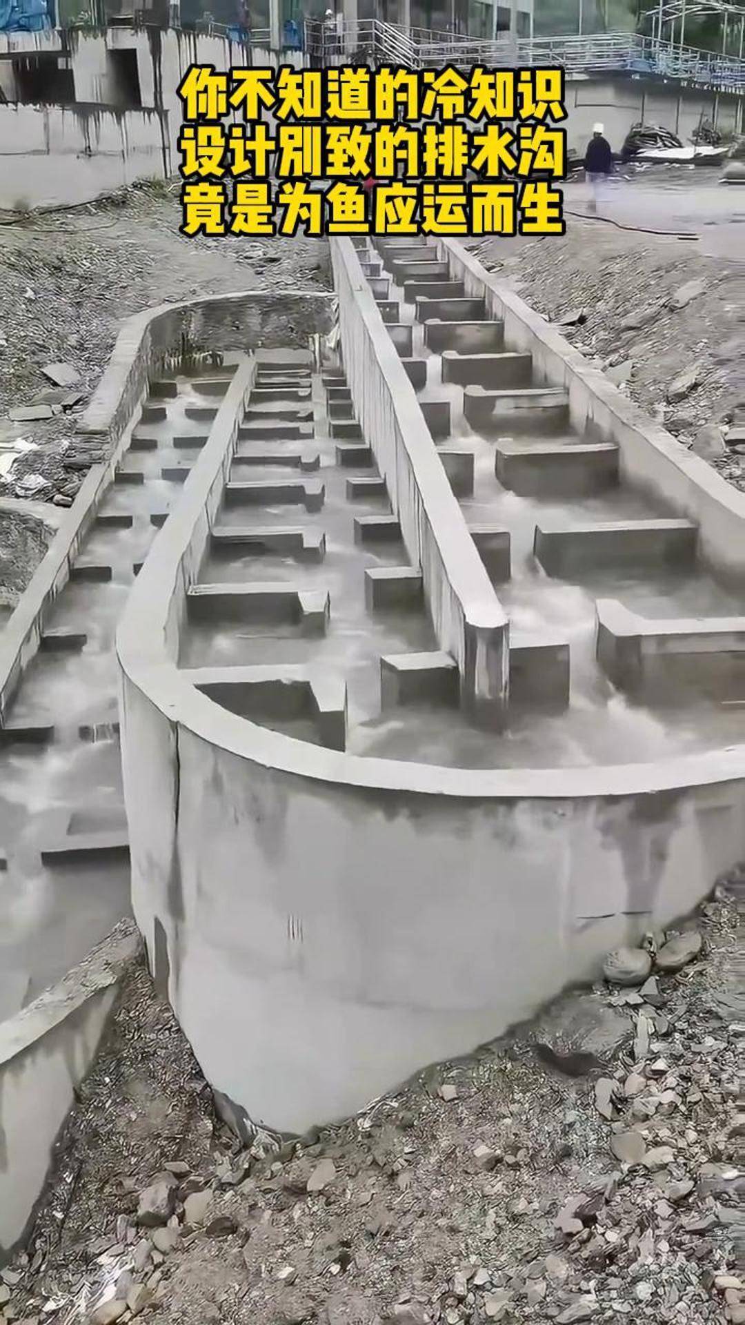 你不知道的冷知识:设计别致的排水沟,竟是为鱼应运而生