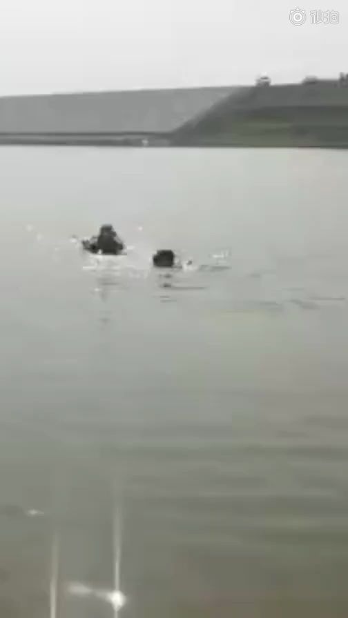 沈阳5个孩子下河玩耍3人溺亡,母亲岸边痛哭
