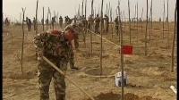 我区今年将植树造林120万亩