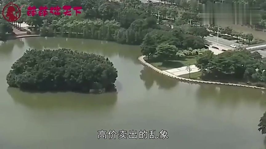 楼市新政将要推行,房产税征收标准如何?这几种人要害怕了!