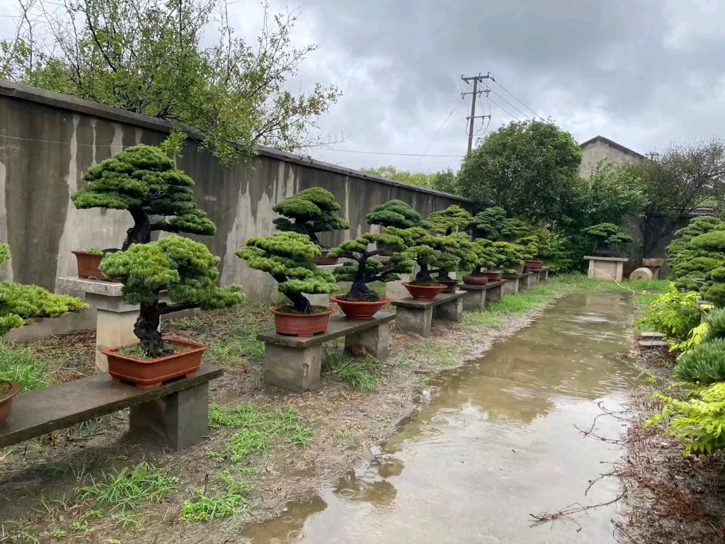 咸阳城市管廊桥梁等基础设施防水咸阳玻璃屋顶防水维修价格宝鸡...
