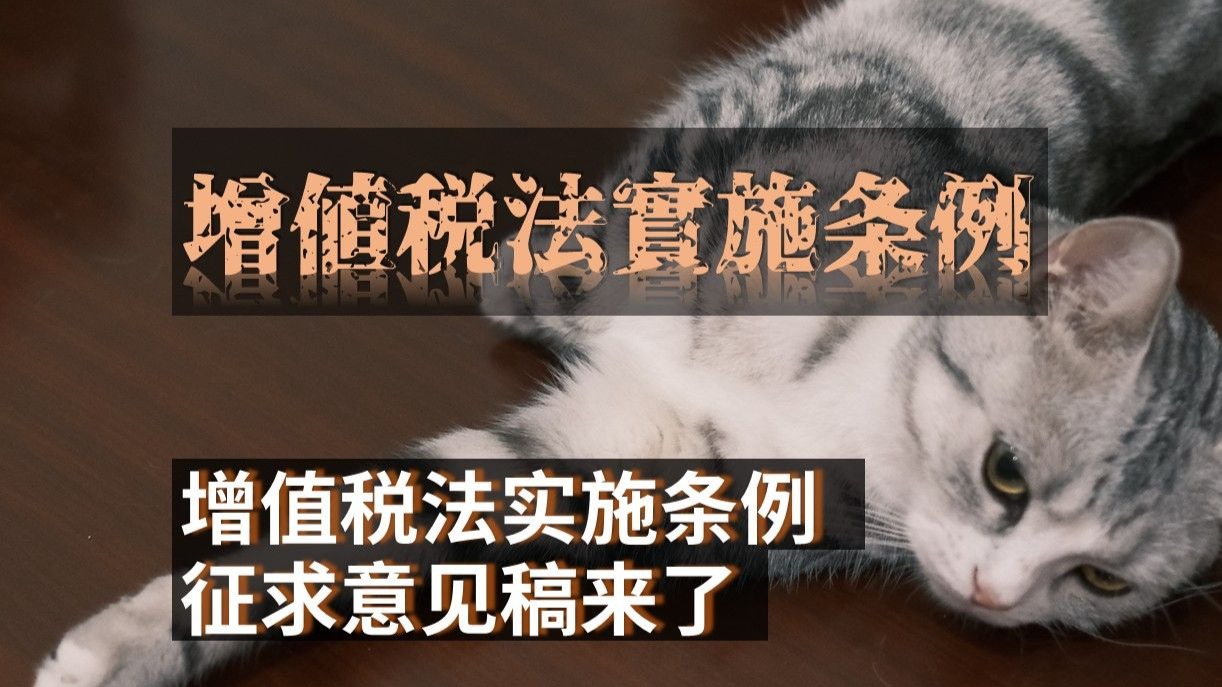 增值税法实施条例,征求意见稿来了