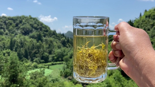 张家界莓茶三大功效与两大禁忌!喝对养生喝错伤身