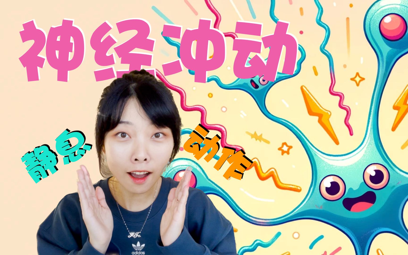 2.5【神经调节】神经冲动的产生 最透彻讲解!|静息电位 动作电位《选...