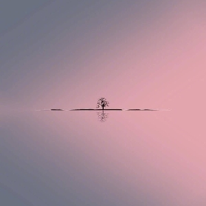 菊月拾一 