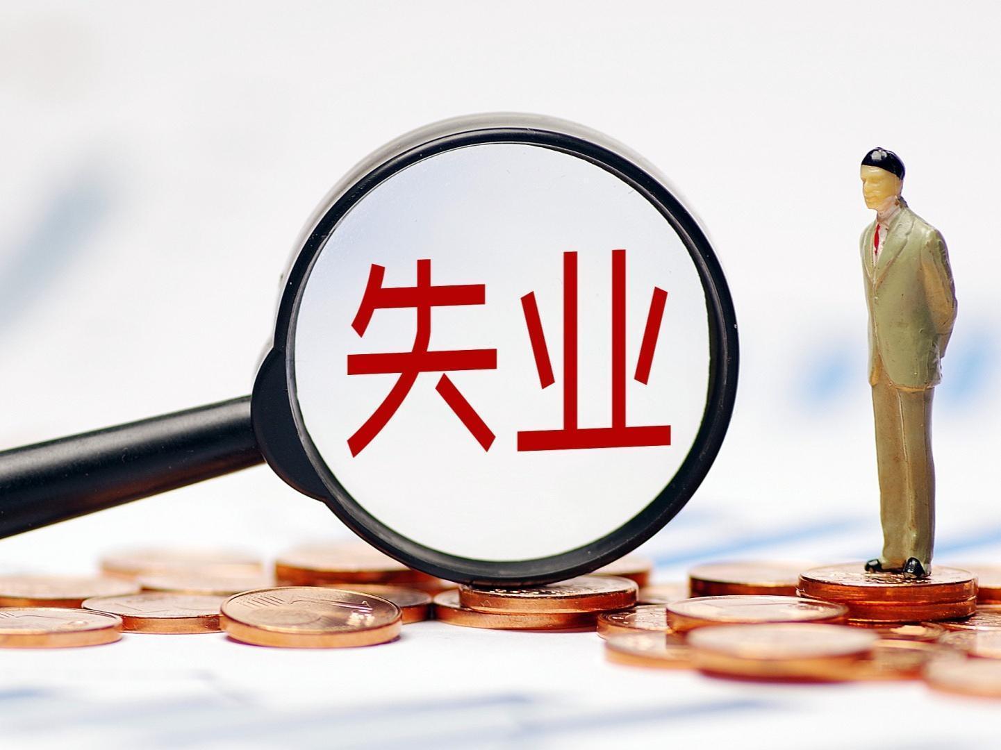 国家统计局发布2024年12月份分年龄组失业率数据