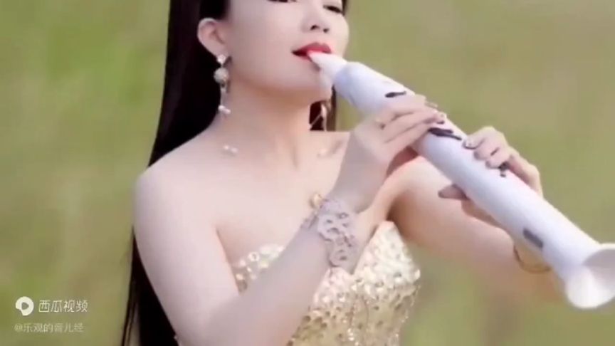 挡不住的思念 电吹管 演奏