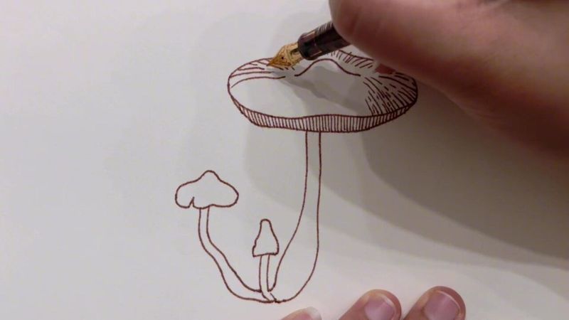 简笔画:蘑菇(1)