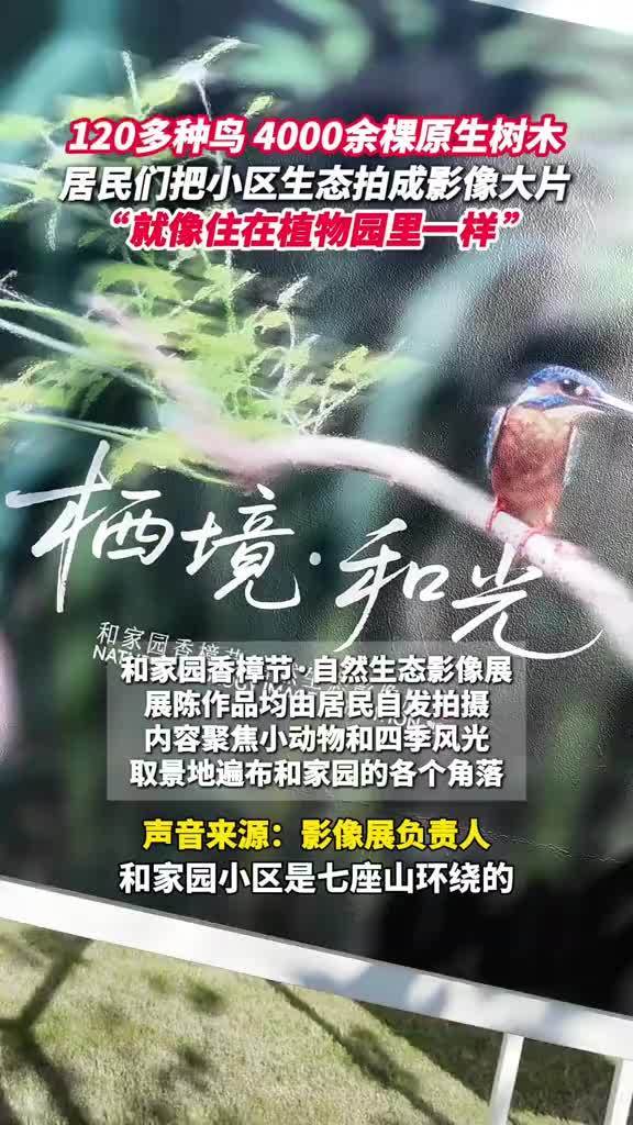 120多种鸟类,4000余棵原生树木,居民把家园拍成影像展