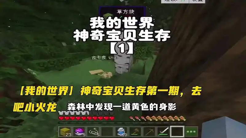 我的世界 神奇宝贝生存第一期,去吧小火龙