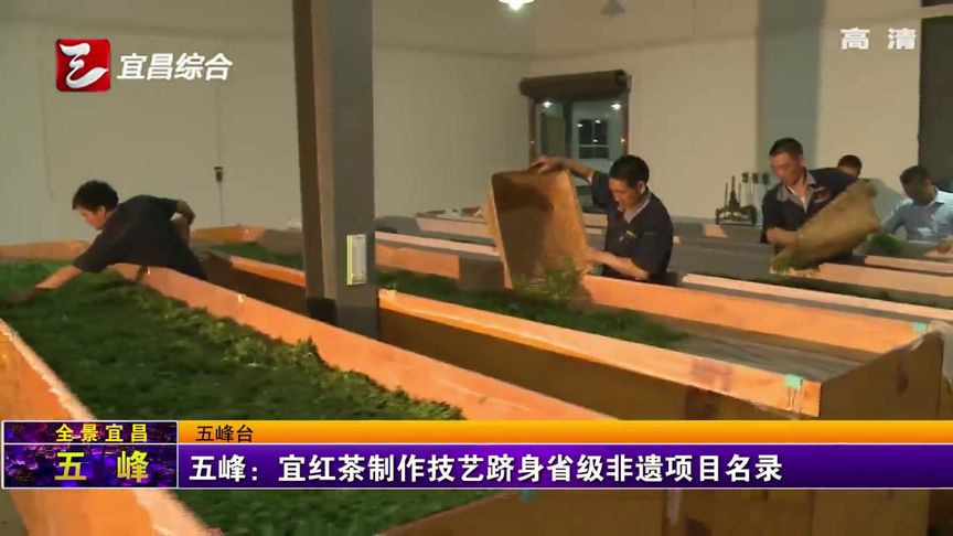 五峰:宜红茶制作技艺跻身省级非遗项目名录