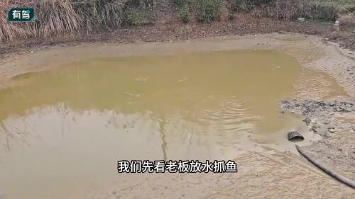 就这么屁大块地方,东家问我泥巴能不能够堆的下