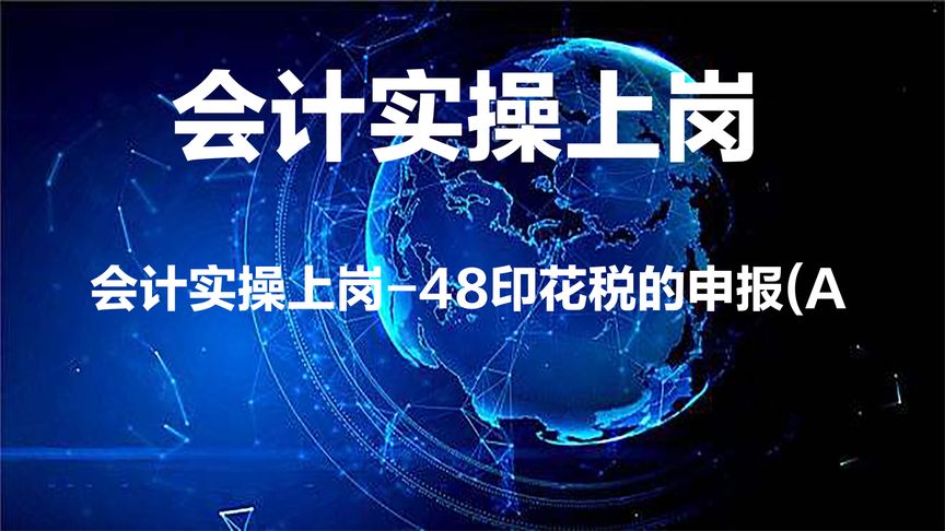 会计实操上岗-48印花税的申报(A