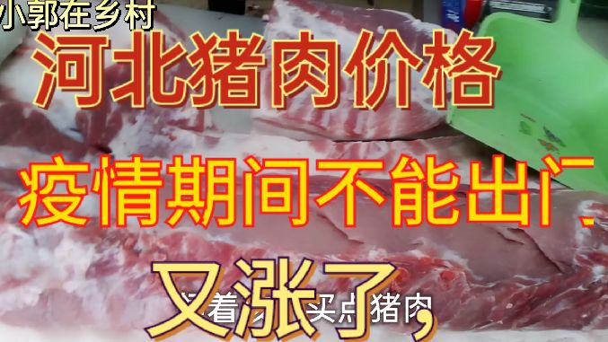 疫情原因不让出村,没有集市,去超市买点猪肉,大街上真冷清